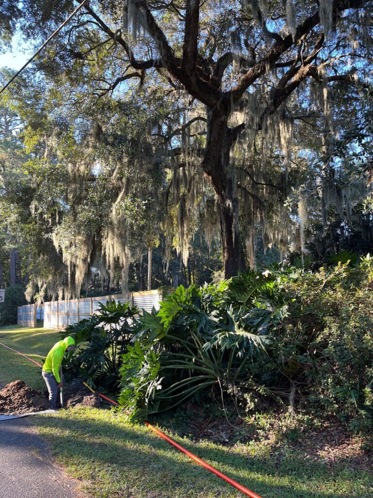 Clearwave Fiber Continues Buildout of Fiber Internet in Savannah ...